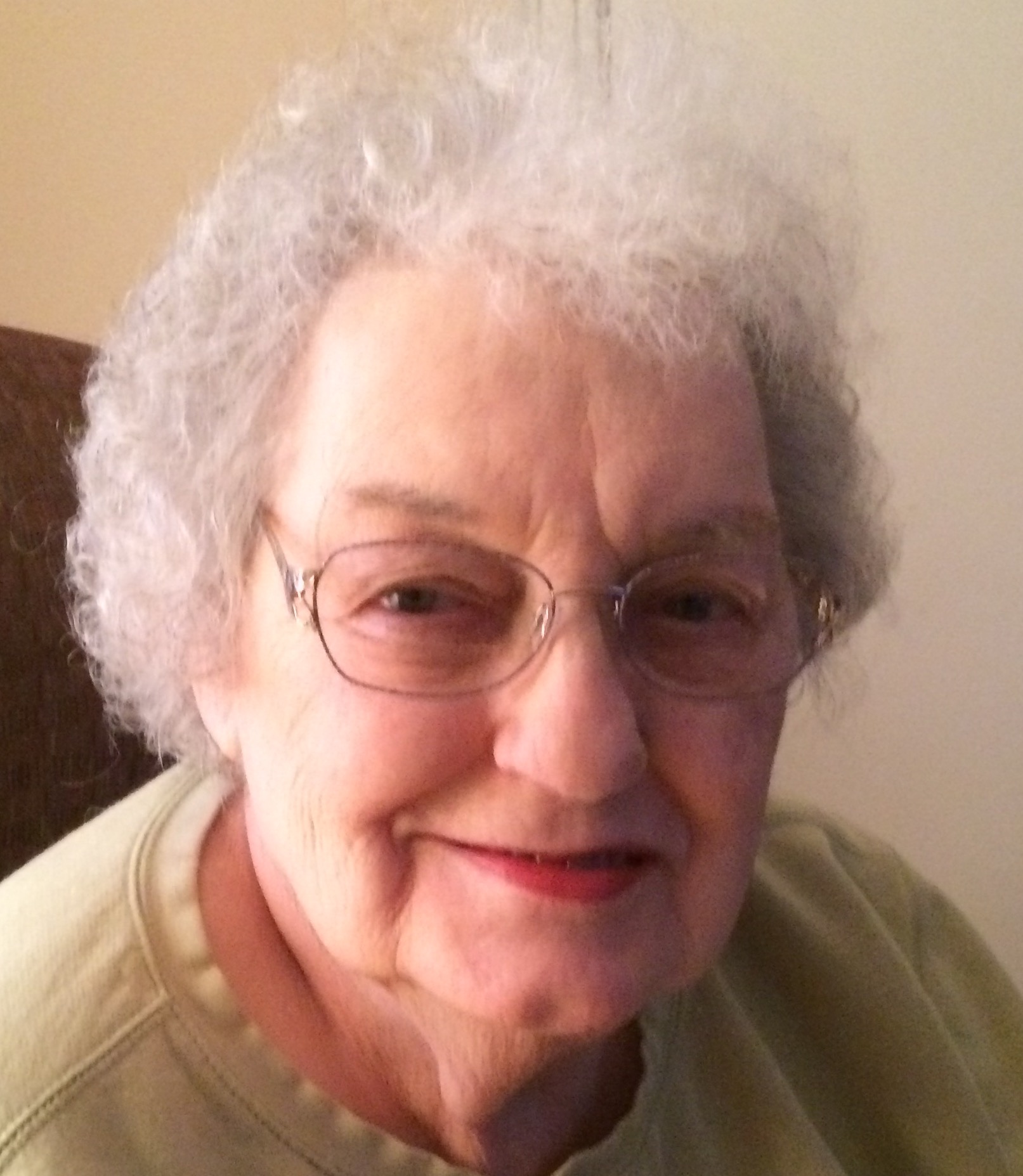 Dawn A. Larson | News, Sports, Jobs - Post Journal